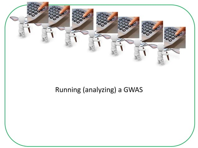 Lecture 7 gwas full | PPTX | Genetics | Science