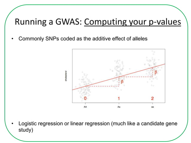 Lecture 7 gwas full | PPTX | Genetics | Science
