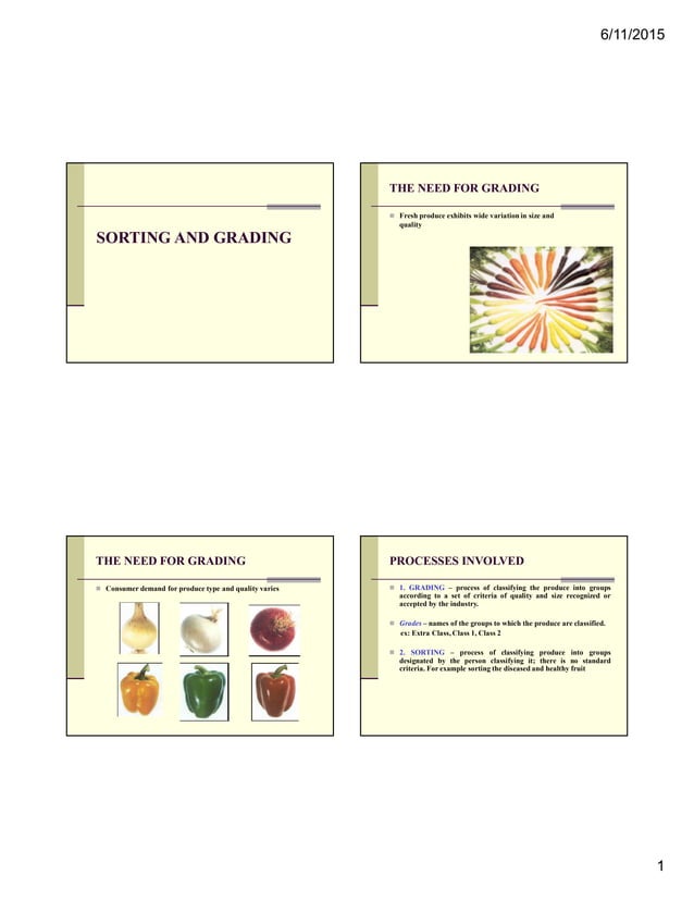 Sorting and Grading | PDF | Grocery Shopping | Shopping
