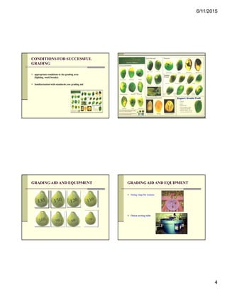 Sorting and Grading | PDF