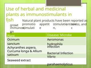 Immunostimulants in Aquaculture.pptx.pptx