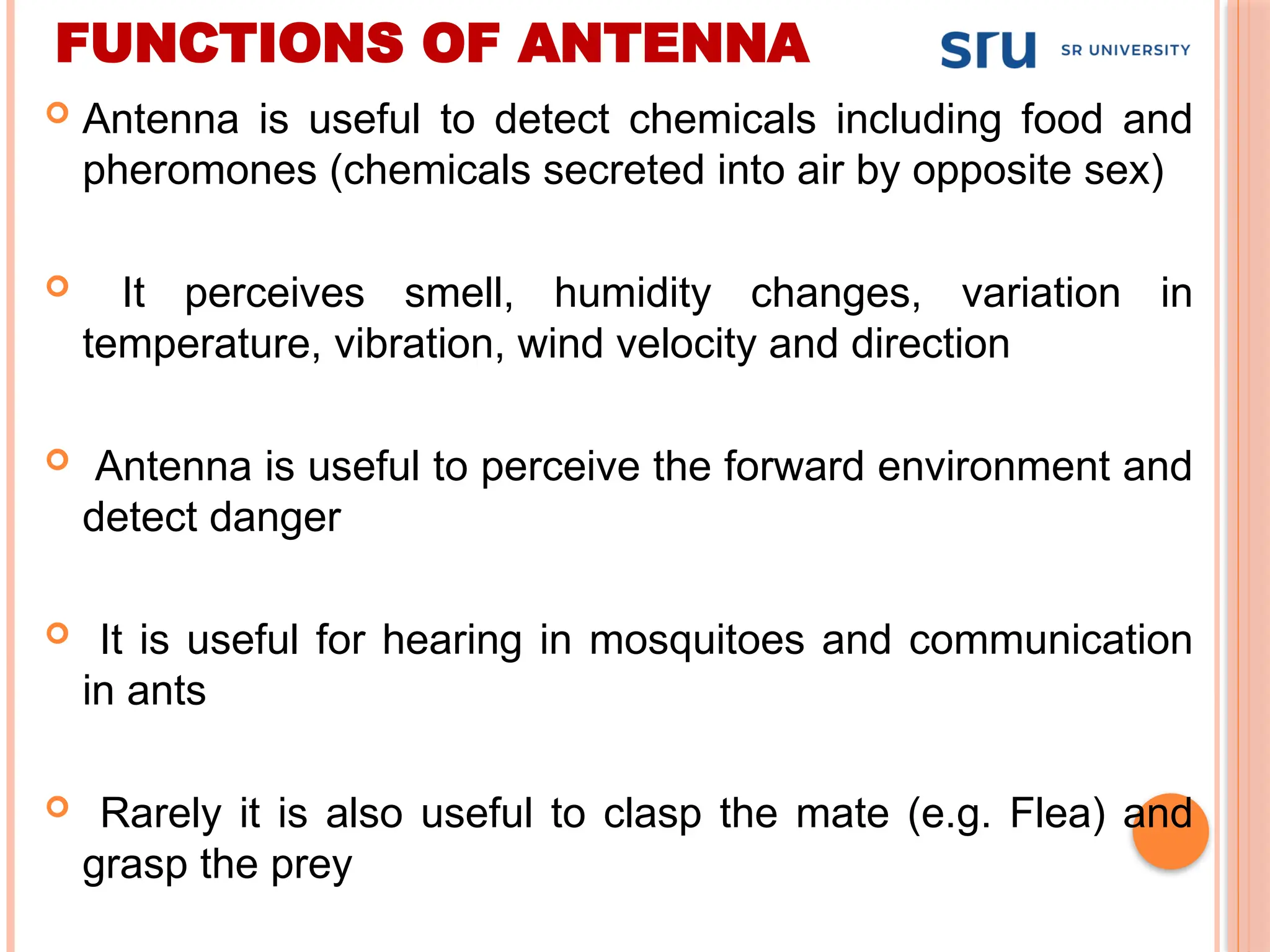 Lecture 7 Study of Insect Antenna and their morphology | PPT