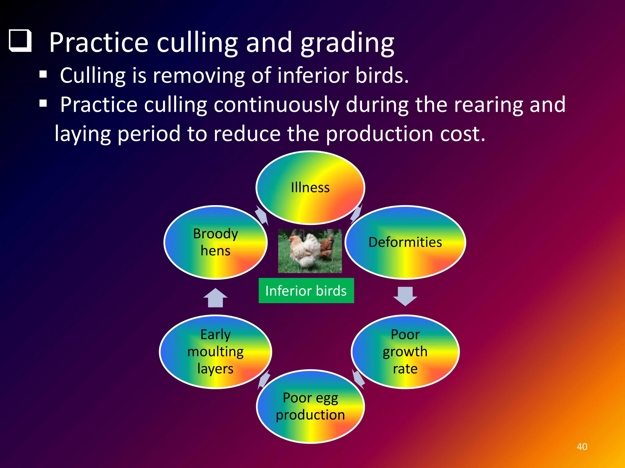 Lecture 7 (Layer Management).pptx
