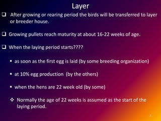Lecture 7 (Layer Management).pptx