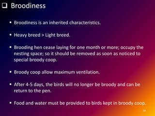 Lecture 7 (Layer Management).pptx