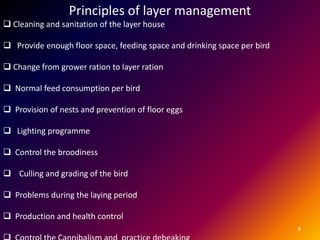 Lecture 7 (Layer Management).pptx