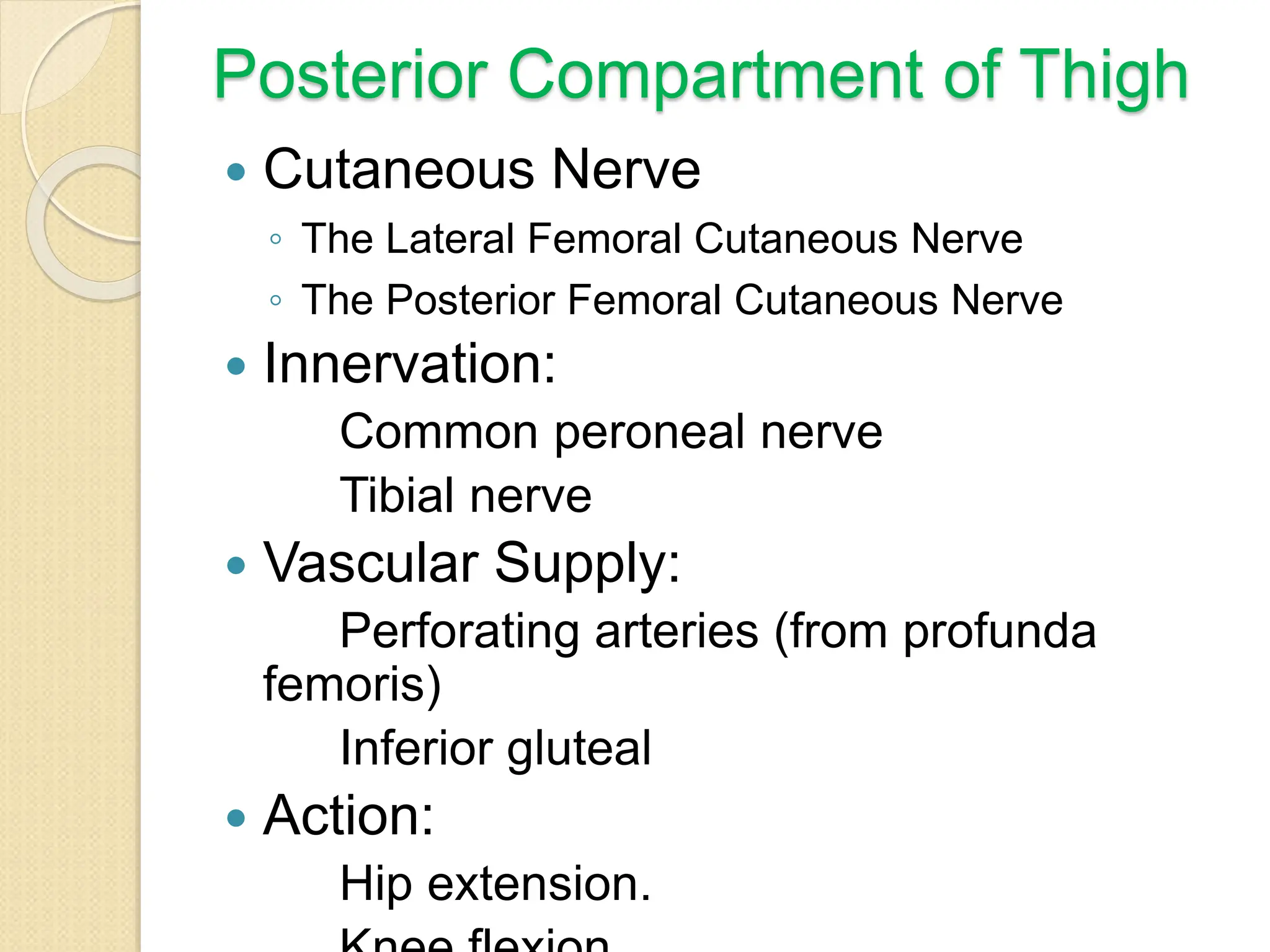 LECTURE 7MEDIAL and posterior compartment of thigh.ppt