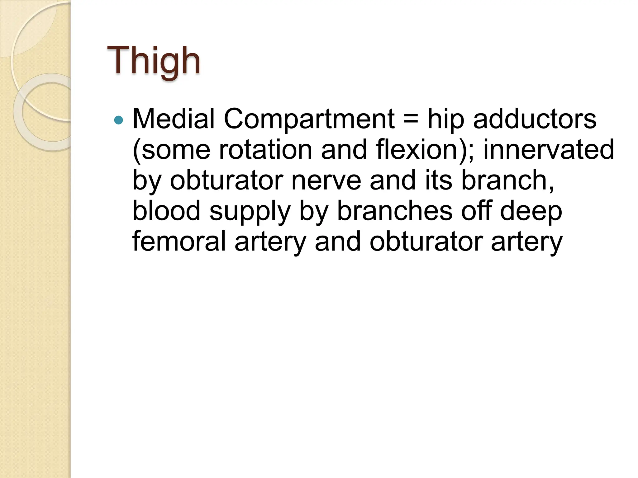 LECTURE 7MEDIAL and posterior compartment of thigh.ppt