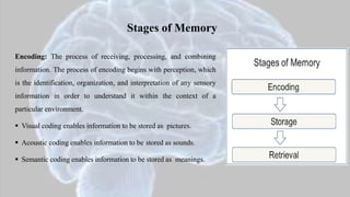 Memory and its effect and side effects on people | PPT