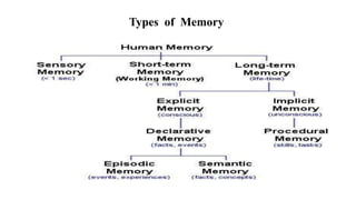 Memory and its effect and side effects on people | PPT