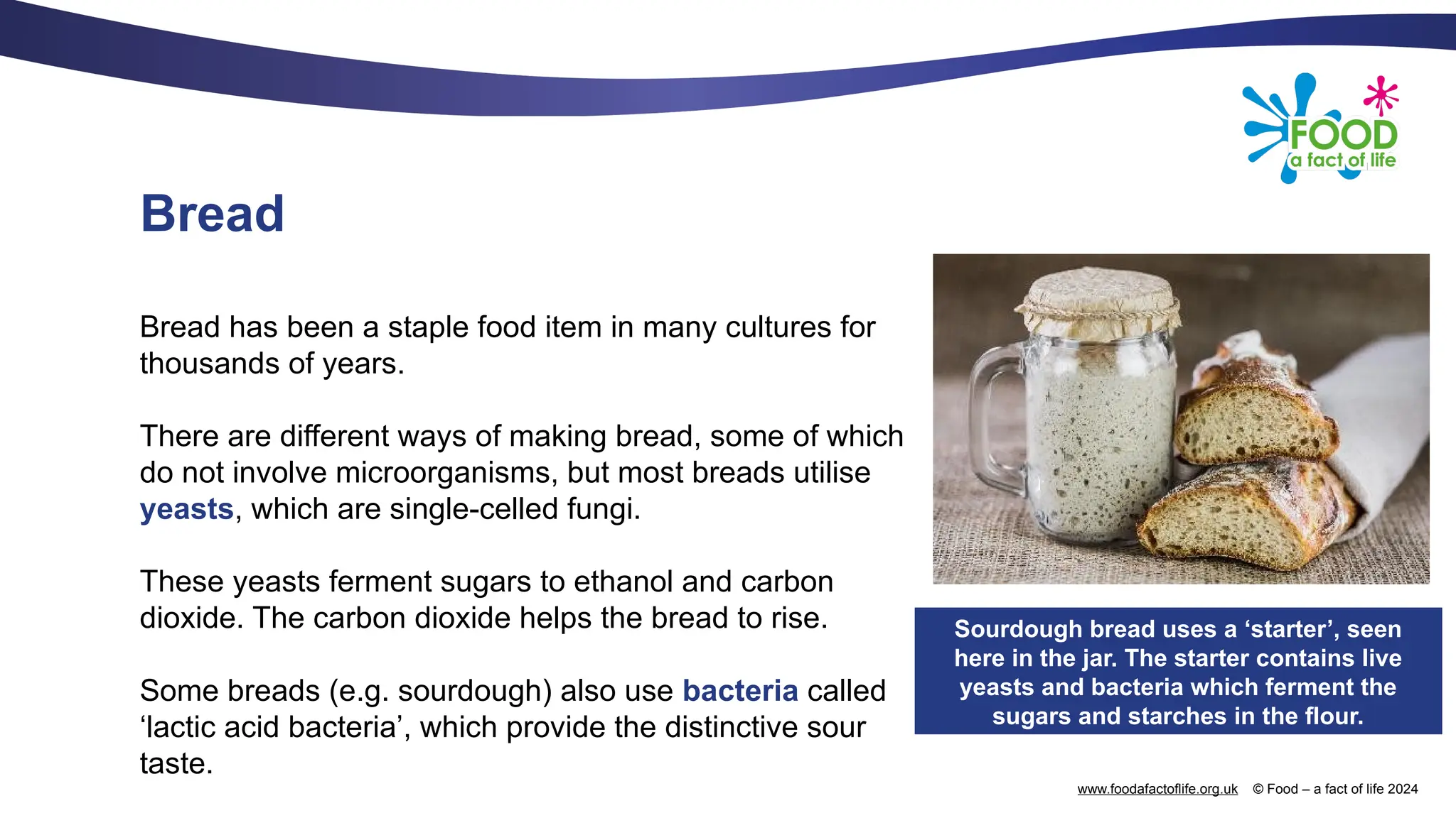 Lecture 7_Microbes in foods and their applications in food industries ...