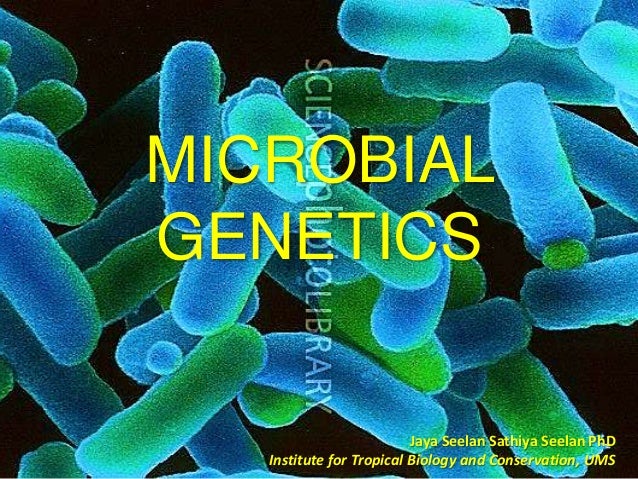 Lecture 7 microbial genetics