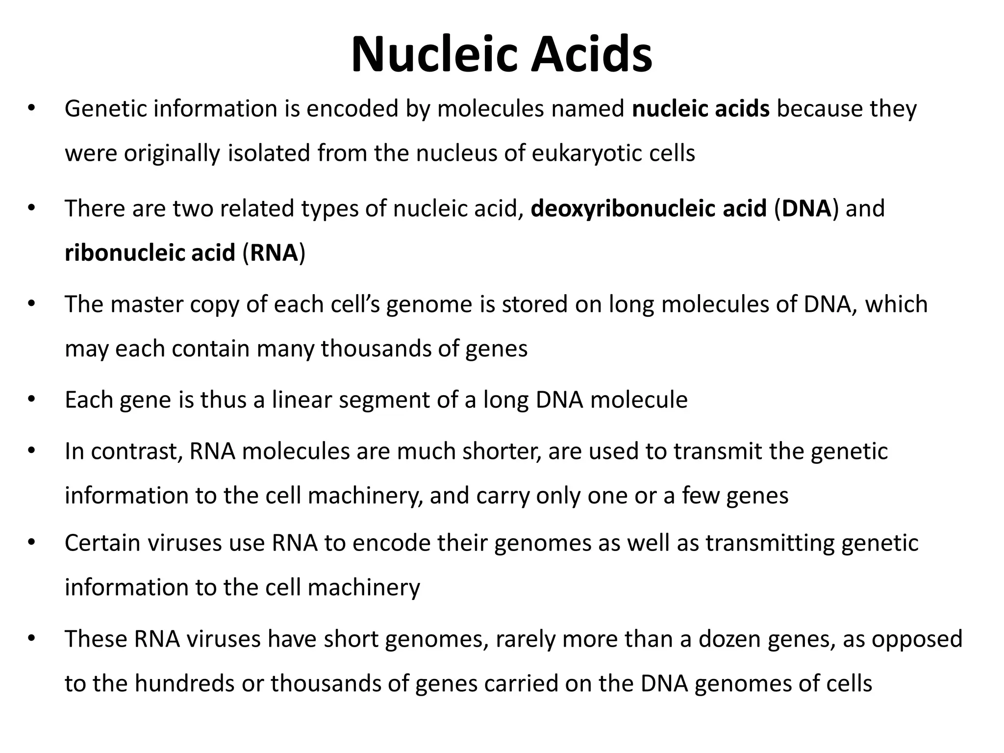 lecture 7 Nucleic Acids.pptx