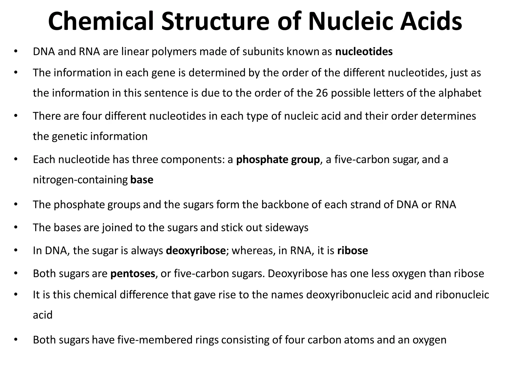 lecture 7 Nucleic Acids.pptx
