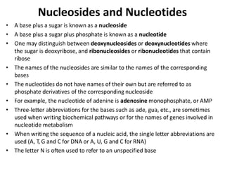 lecture 7 Nucleic Acids.pptx
