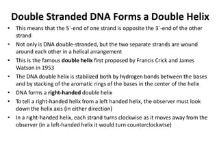 lecture 7 Nucleic Acids.pptx