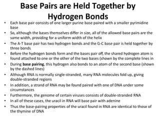 lecture 7 Nucleic Acids.pptx