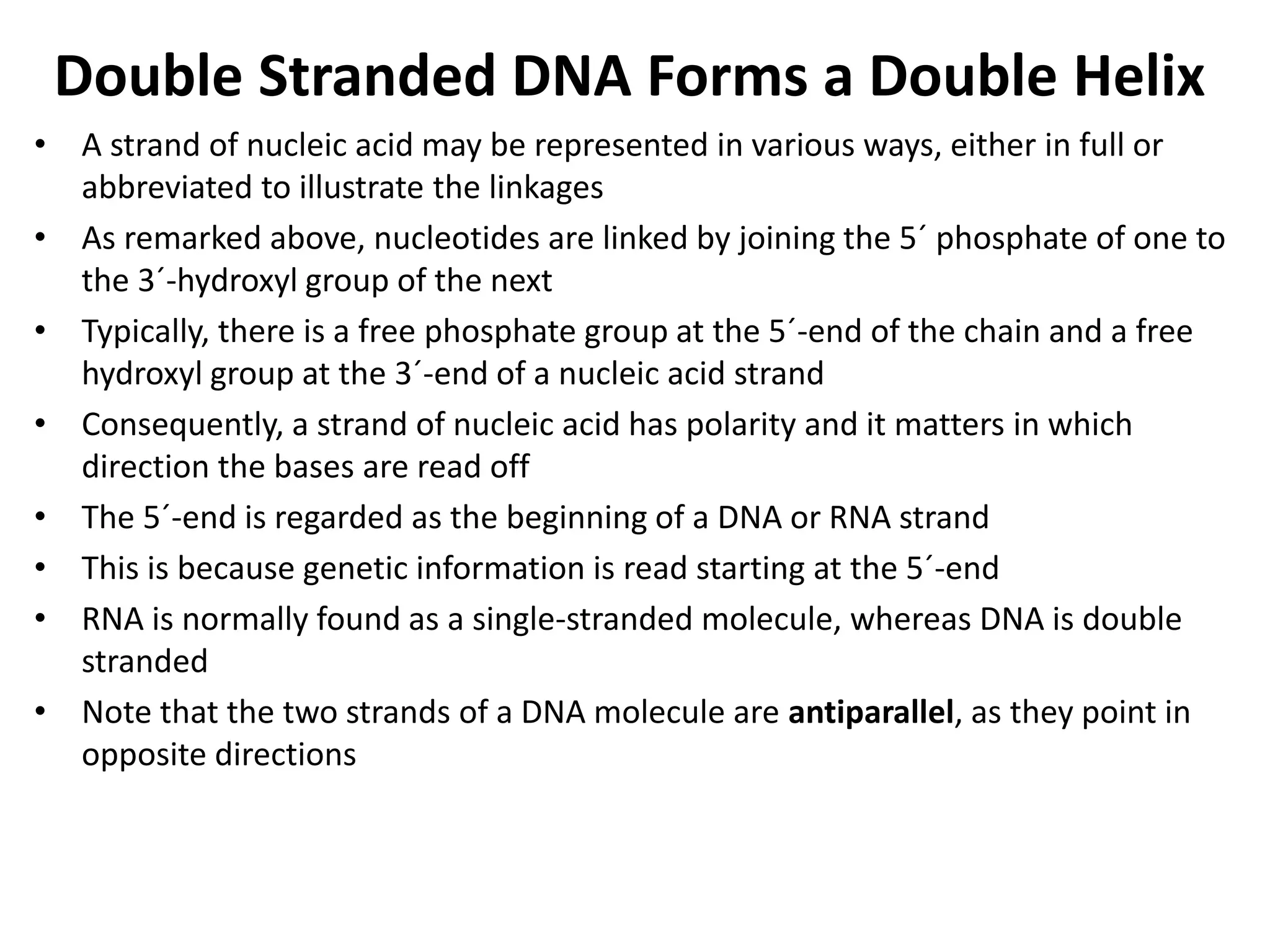 lecture 7 Nucleic Acids.pdf