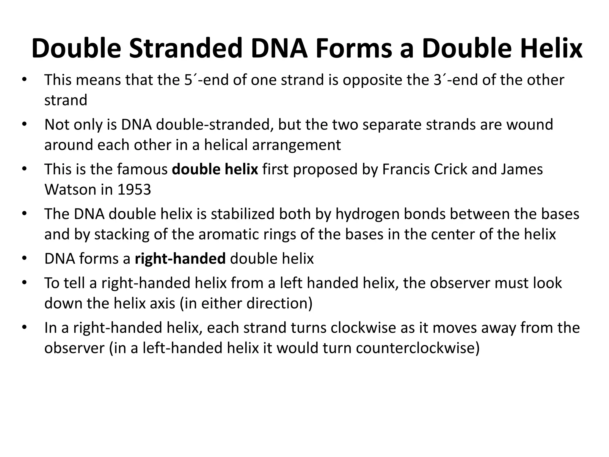 lecture 7 Nucleic Acids.pdf