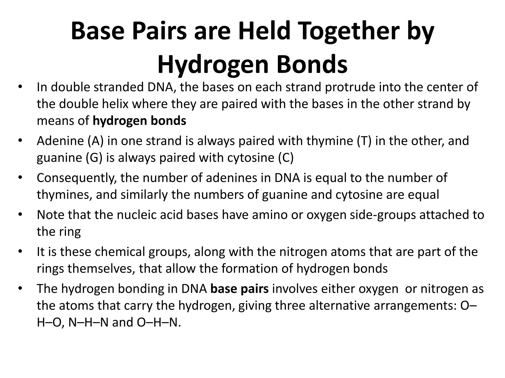 lecture 7 Nucleic Acids.pdf