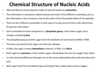 lecture 7 Nucleic Acids.pdf