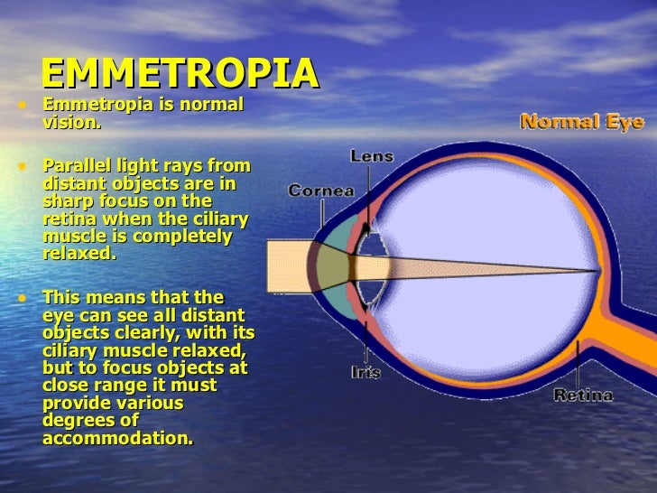 Lecture 7 physiology of the nervous system