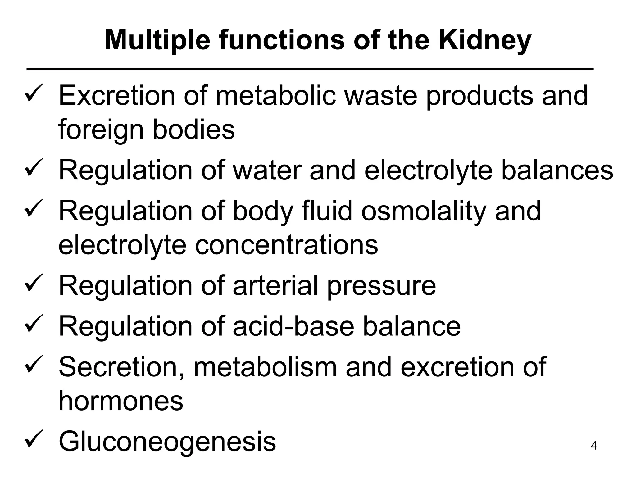lecture 7 renal system copy.ppt
