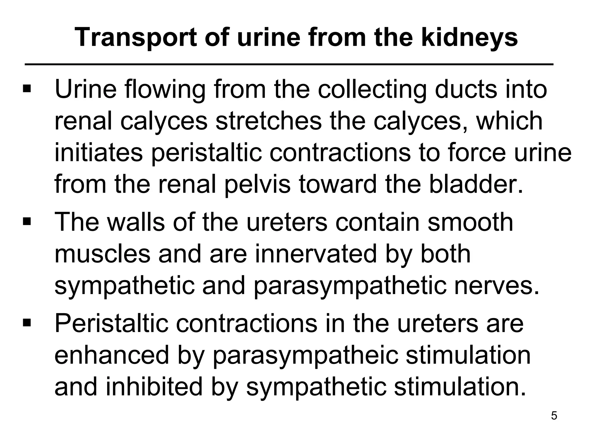 lecture 7 renal system copy.ppt
