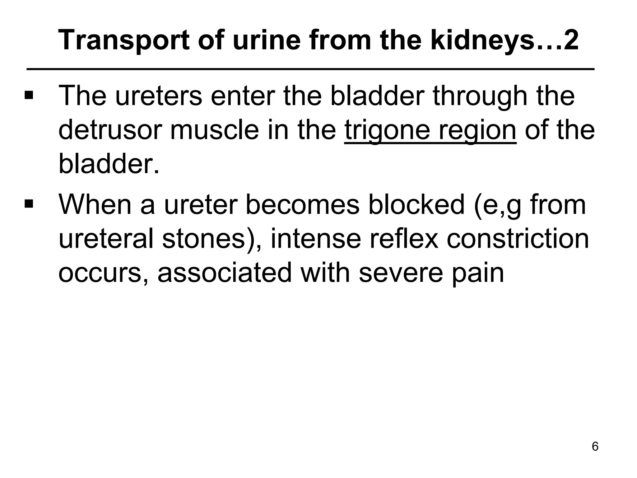 lecture 7 renal system copy.ppt