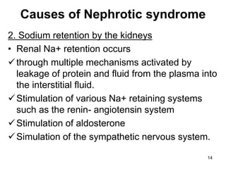 lecture 7 renal system copy.ppt