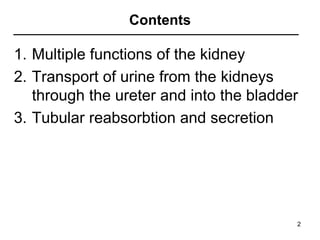 lecture 7 renal system copy.ppt