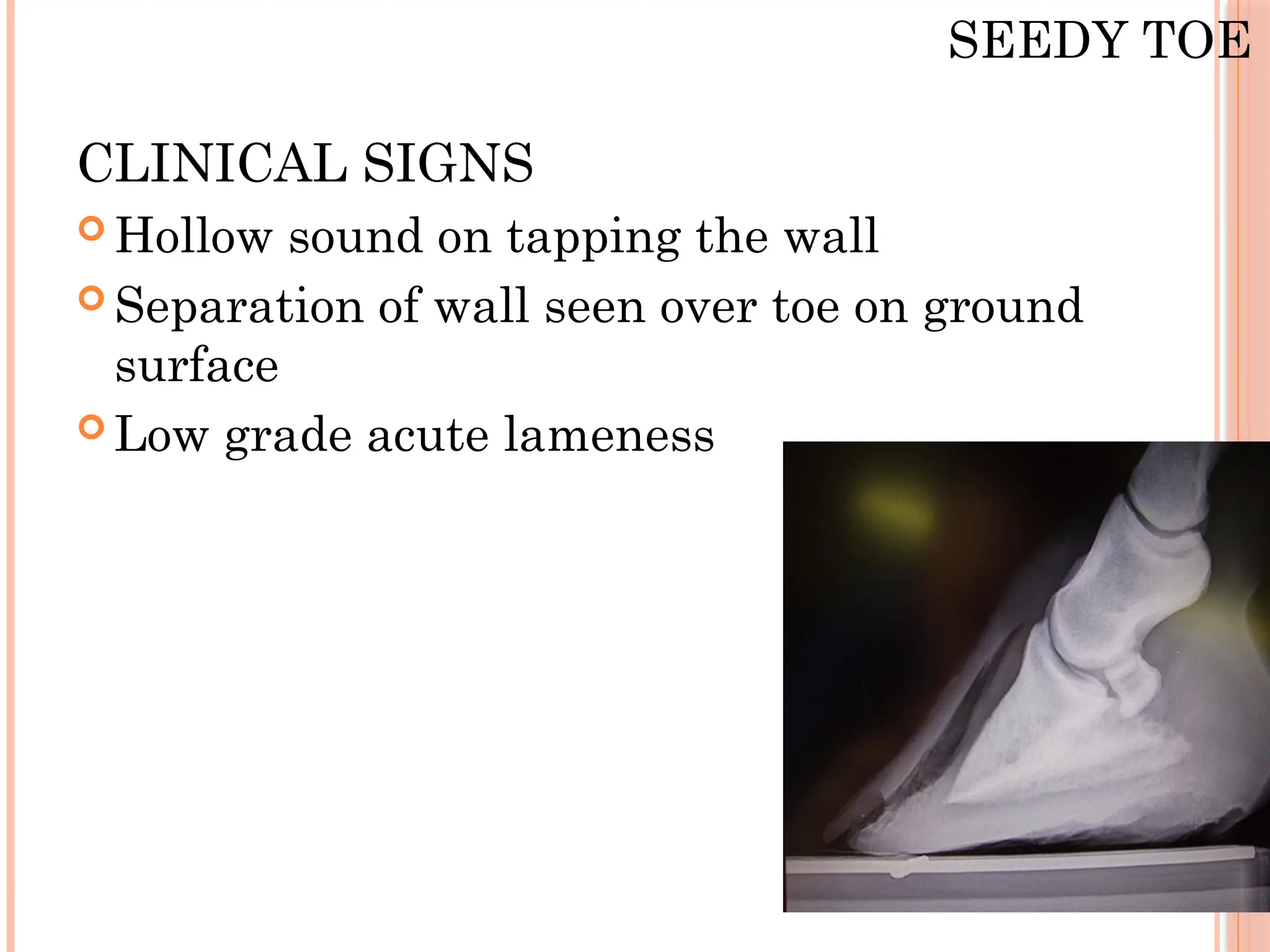 Lecture 7 Sand crack, seedy toe, fractures of third phalanx, pedal ...
