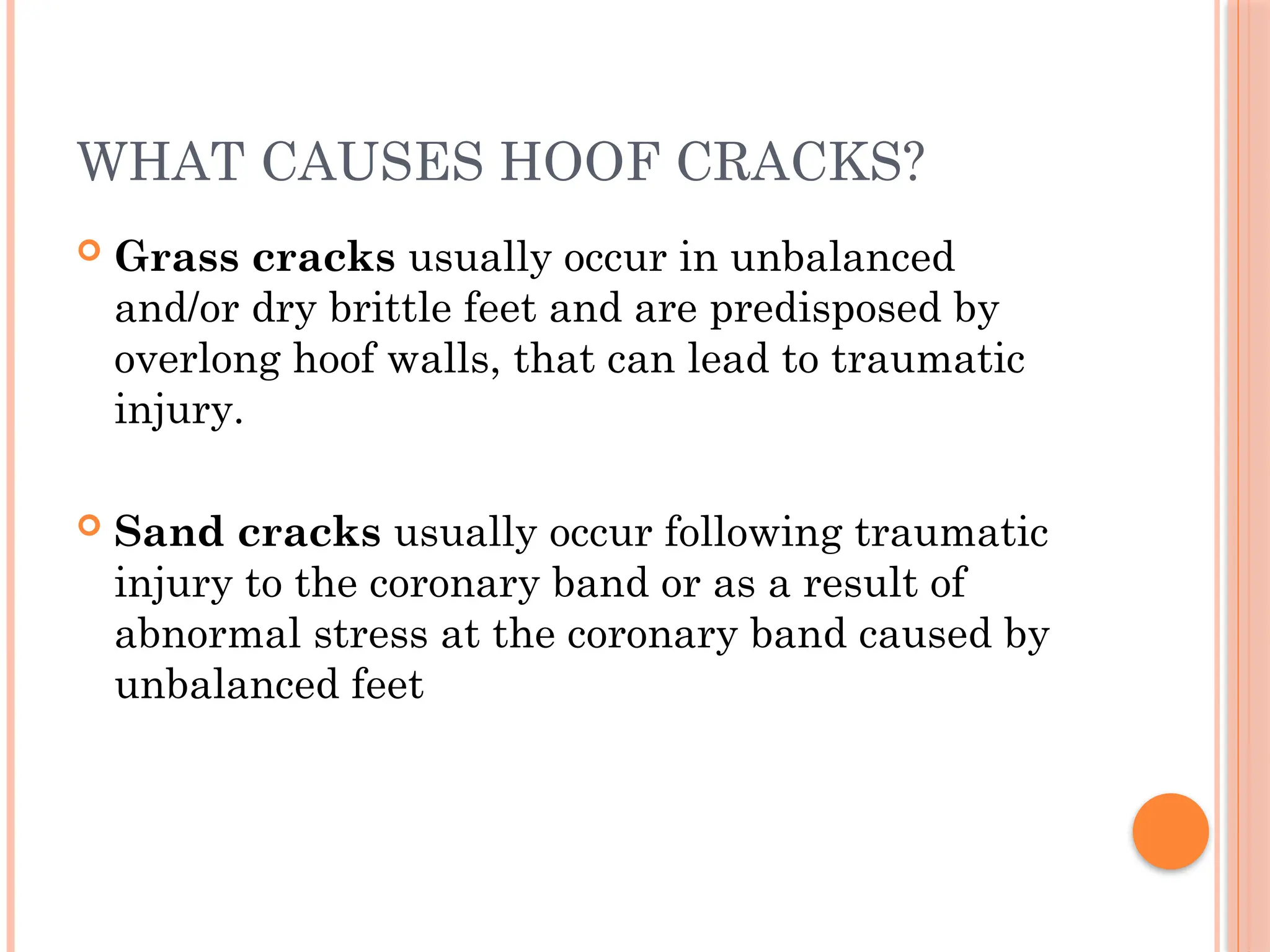 Lecture 7 Sand crack, seedy toe, fractures of third phalanx, pedal ...