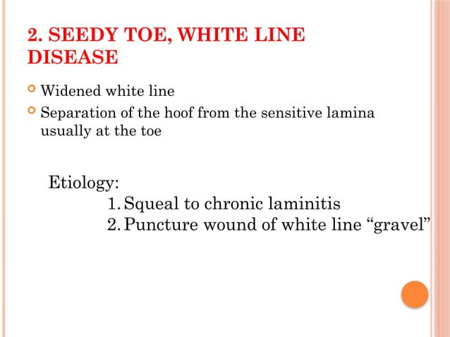 Lecture 7 Sand crack, seedy toe, fractures of third phalanx, pedal ...
