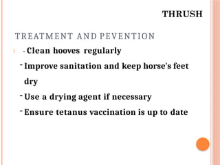 Lecture 7 Sand crack, seedy toe, fractures of third phalanx, pedal ...
