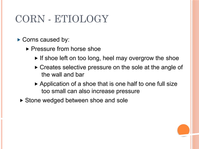 Lecture 7 Sand crack, seedy toe, fractures of third phalanx, pedal ...