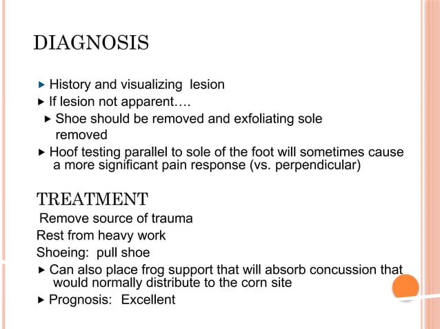 Lecture 7 Sand crack, seedy toe, fractures of third phalanx, pedal ...