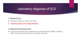 Lecture 7 (SCD New) 2.pptx | Blood Disorders | Diseases and Conditions