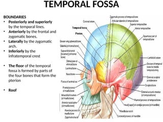 LECTURE 7 TEMPORAL & INFRATEMPORAL FOSSAE.pptx