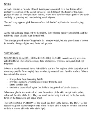 Lecture 7 the integumentary system | PDF