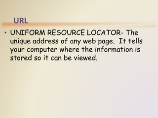 Lecture 7 The internet.pptx