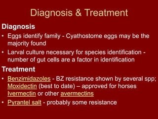 Lecture 7 triodonto, trichonema, oesophago, stephnurus | PPT