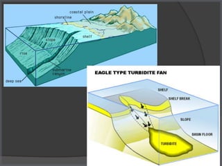 Turbidity | PPTX