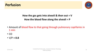 lecture 7/2023 - Respiratory Physiology - Ventilation & Perfusion.pdf