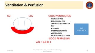 lecture 7/2023 - Respiratory Physiology - Ventilation & Perfusion.pdf