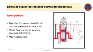 lecture 7/2023 - Respiratory Physiology - Ventilation & Perfusion.pdf