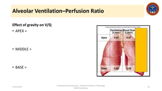 lecture 7/2023 - Respiratory Physiology - Ventilation & Perfusion.pdf