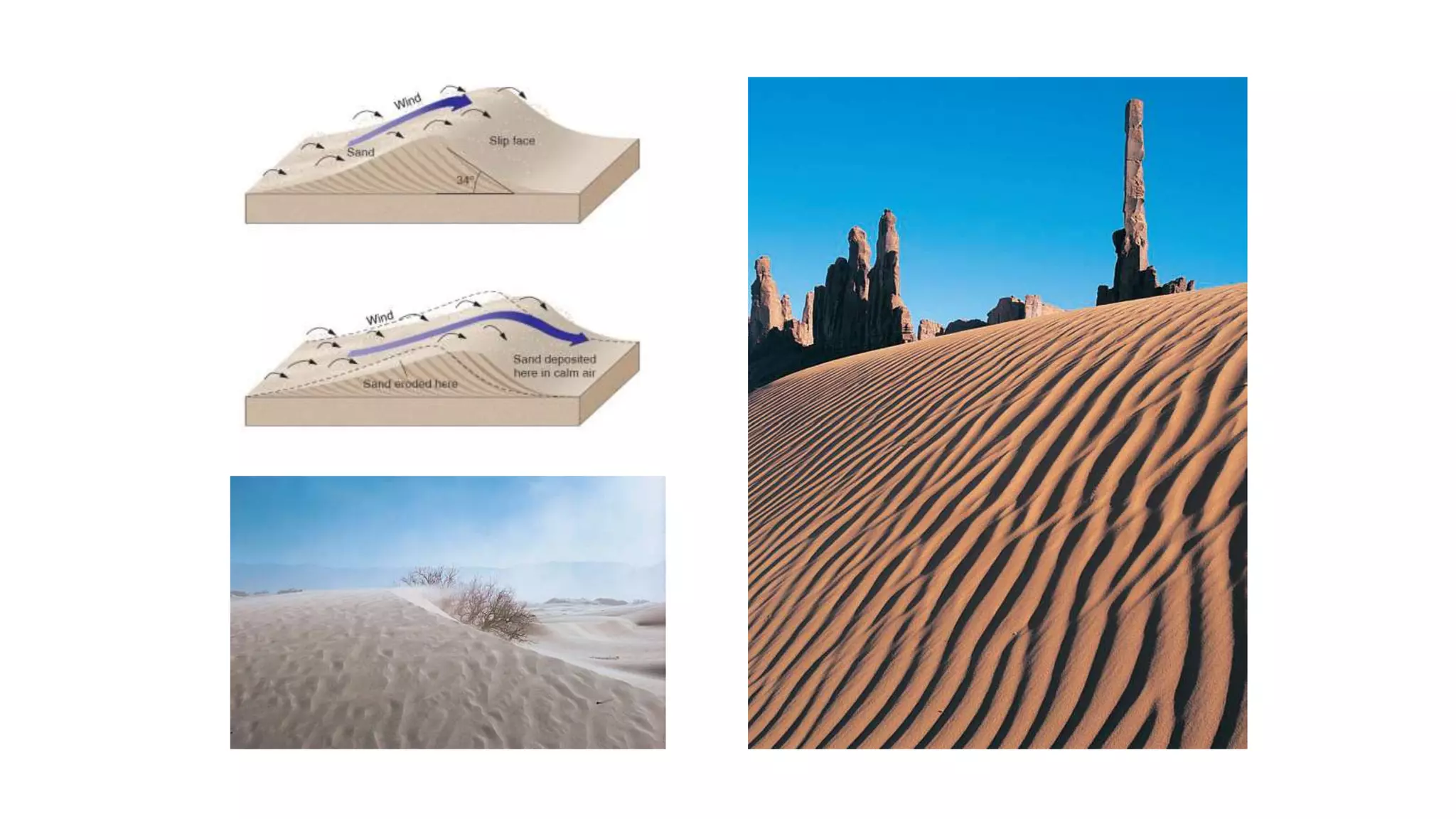 Wind deposition, loess and dunes | PPT