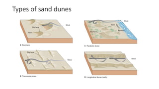Wind deposition, loess and dunes | PPT