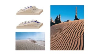 Wind deposition, loess and dunes | PPT